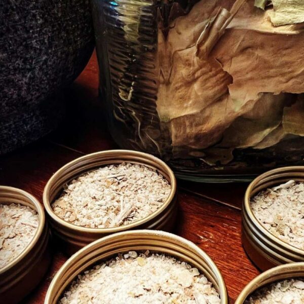 Our Teachers – RitualCravt School