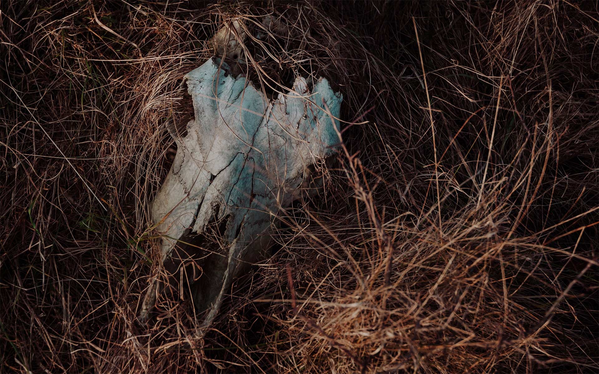 Singing Sacred Songs with Runes – RitualCravt School